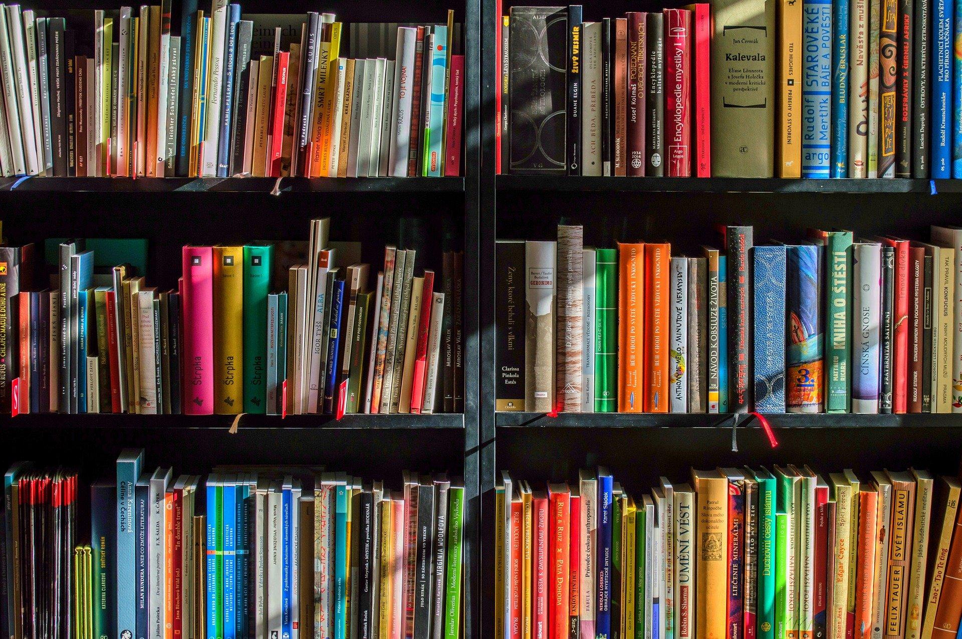 Library Staff Partner with a Free Public Library in Tambo, Philippines ...